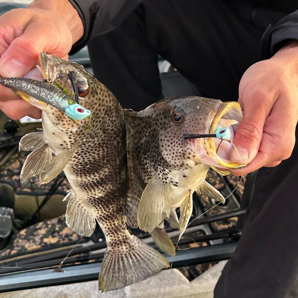 MINT - SWIMBAIT HEAD WEEDGUARD | WARBAITS CORPORATION